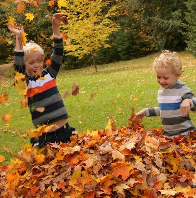 Conscious Creative Courageous Living with Children – Susan Laing's ...